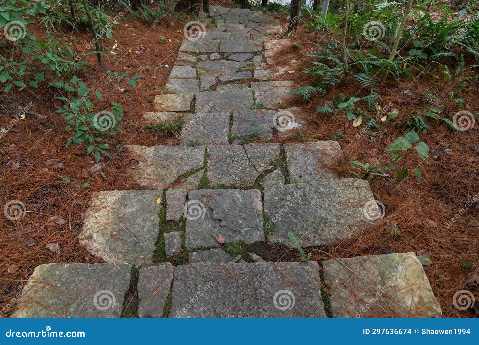 Garden Stone Path stock photo. Image of nature, development - 297636674