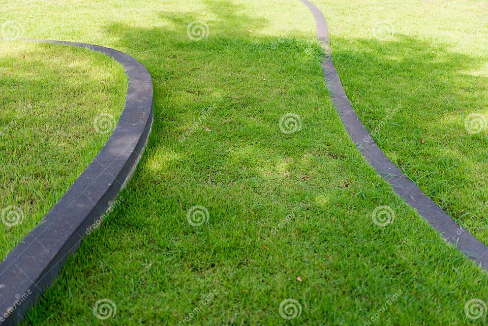 Step grass in the garden stock photo. Image of plant - 32196744