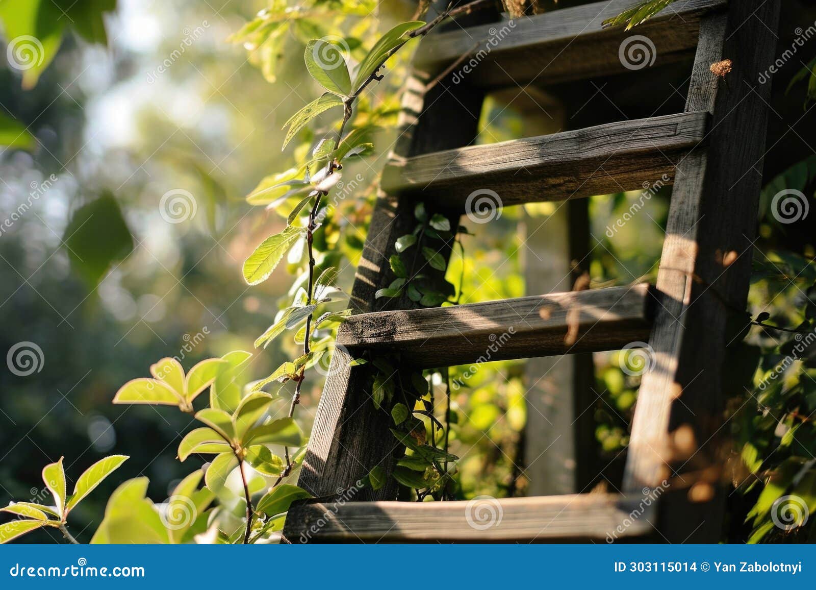 A Step Ladder Symbolizing Growth, Development, and a Bright Future ...