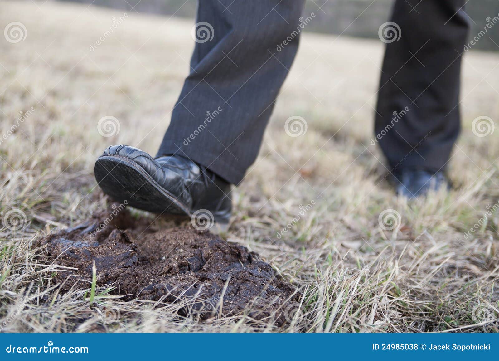 Step in a Messy Pile of Feces Stock Photo - Image of away, symbol: 24985038