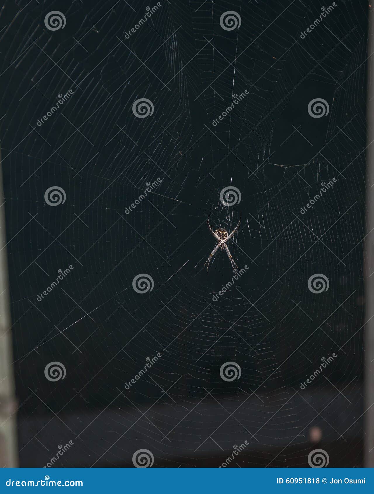 Step into My Parlor, Said the Spider Stock Photo - Image of underneath ...