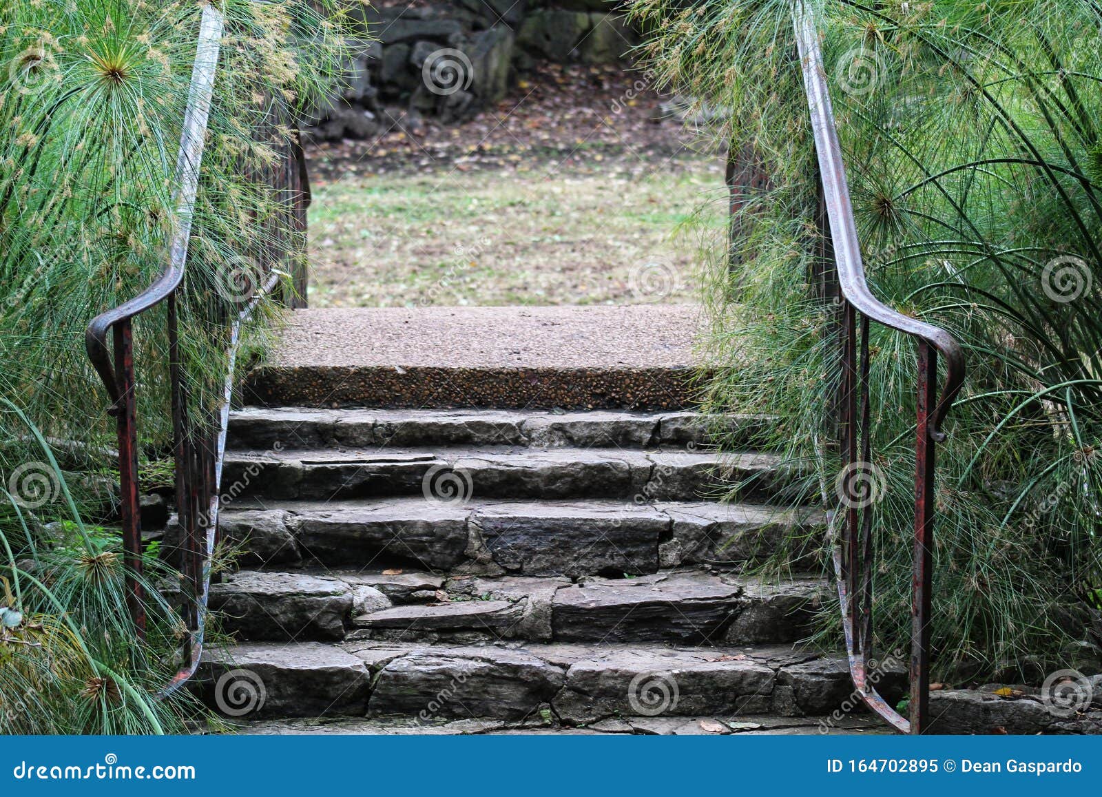 Step into nature stock image. Image of centennial, railing - 164702895