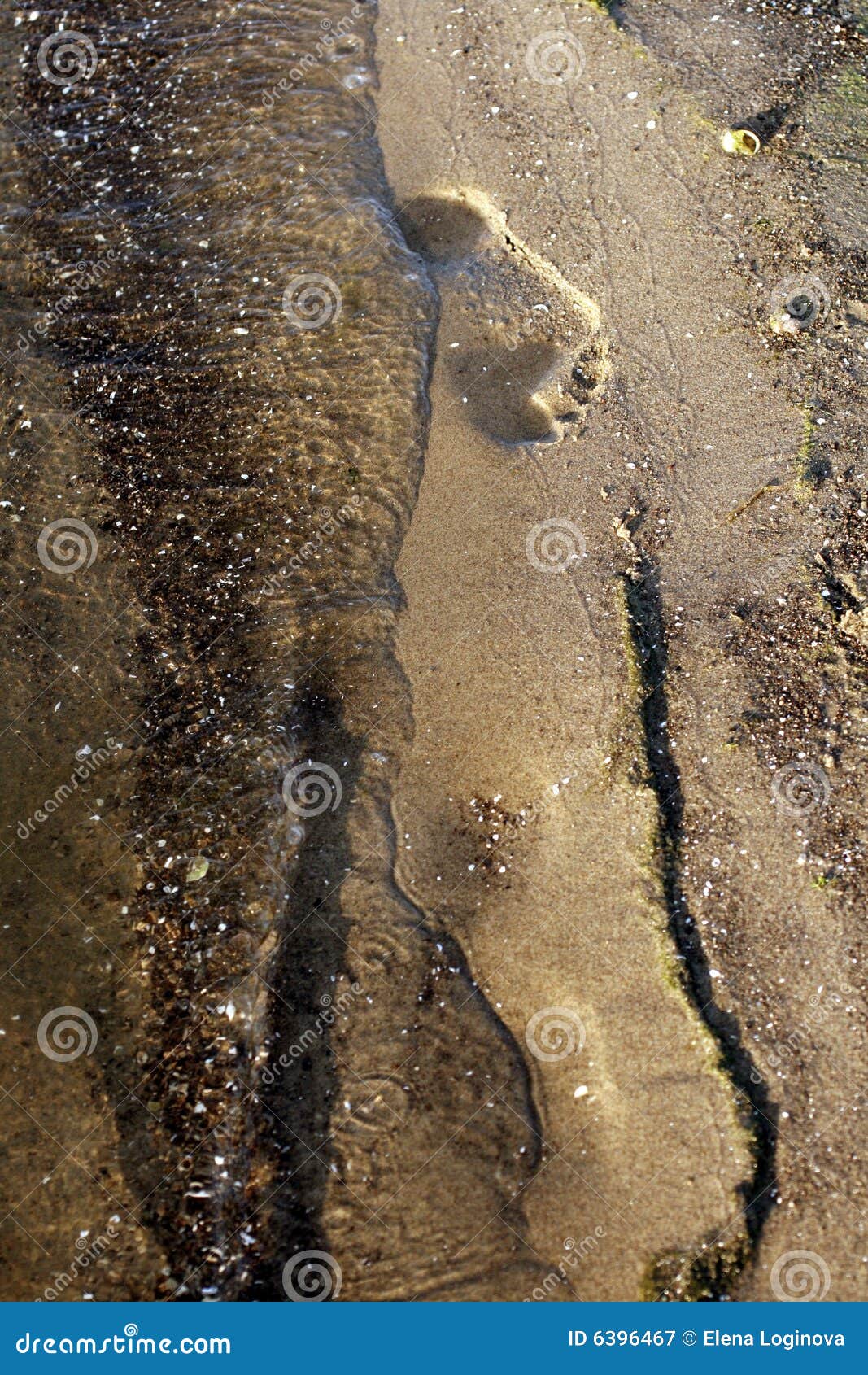 Step on sand stock image. Image of footprints, step, coastline - 6396467
