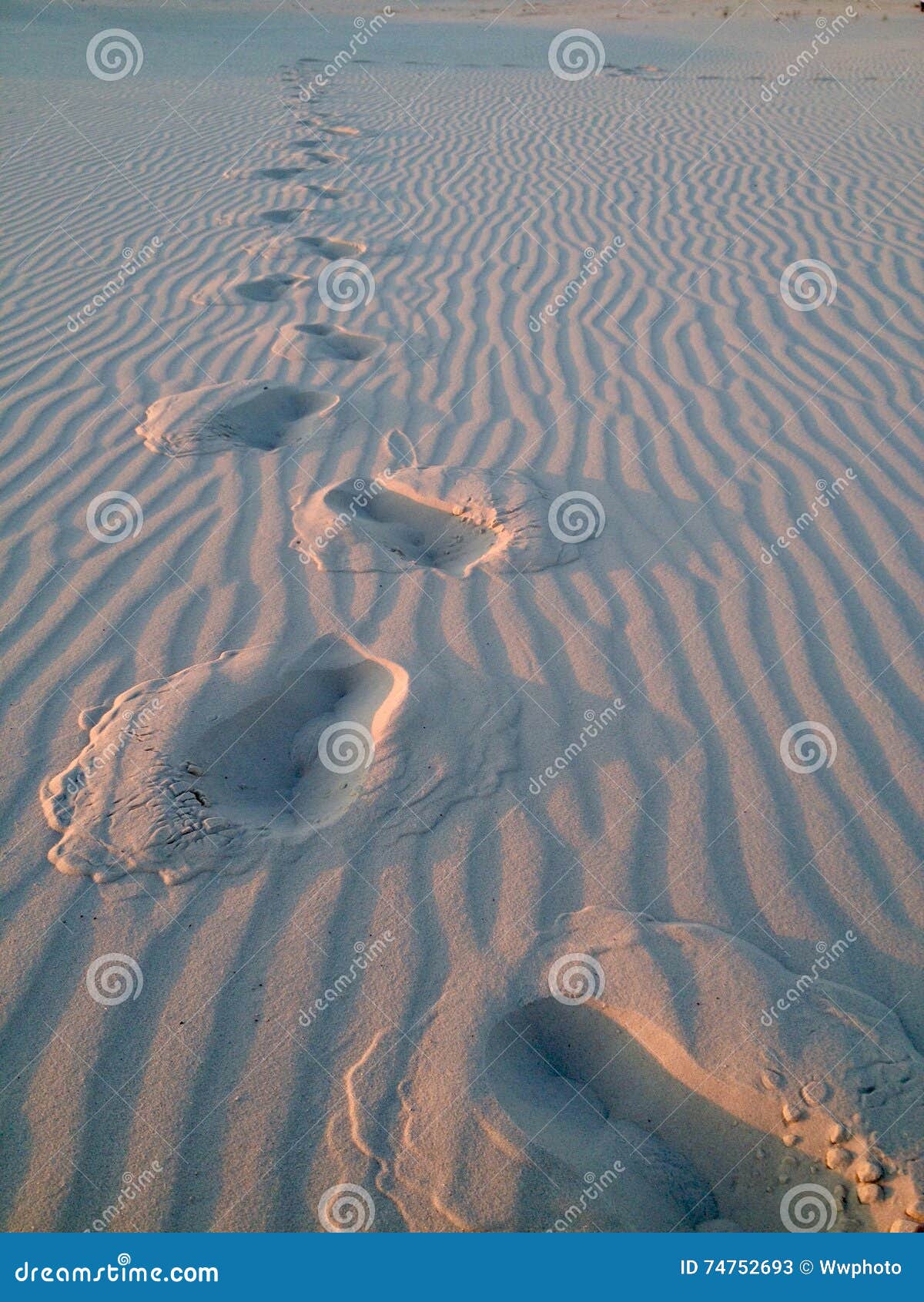 Step on the sand stock image. Image of beach, sand, step - 74752693