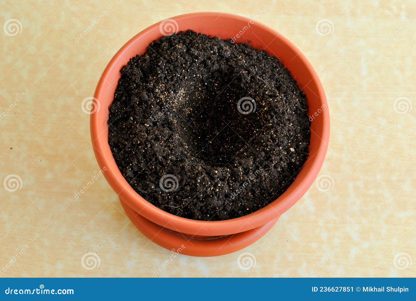 Step Seven - in a Flower Pot with Soil, we Make a Small Hole for ...