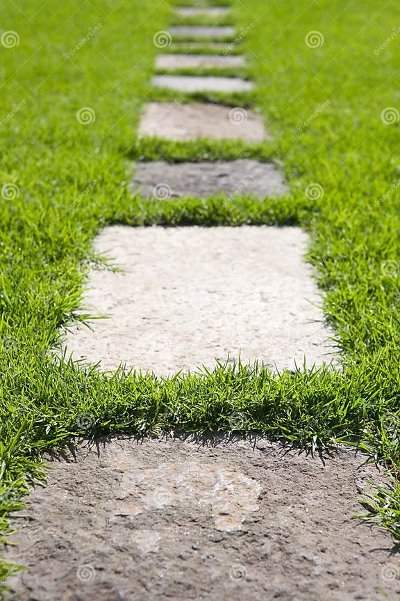 Step by step stock photo. Image of road, driving, movement - 4506812