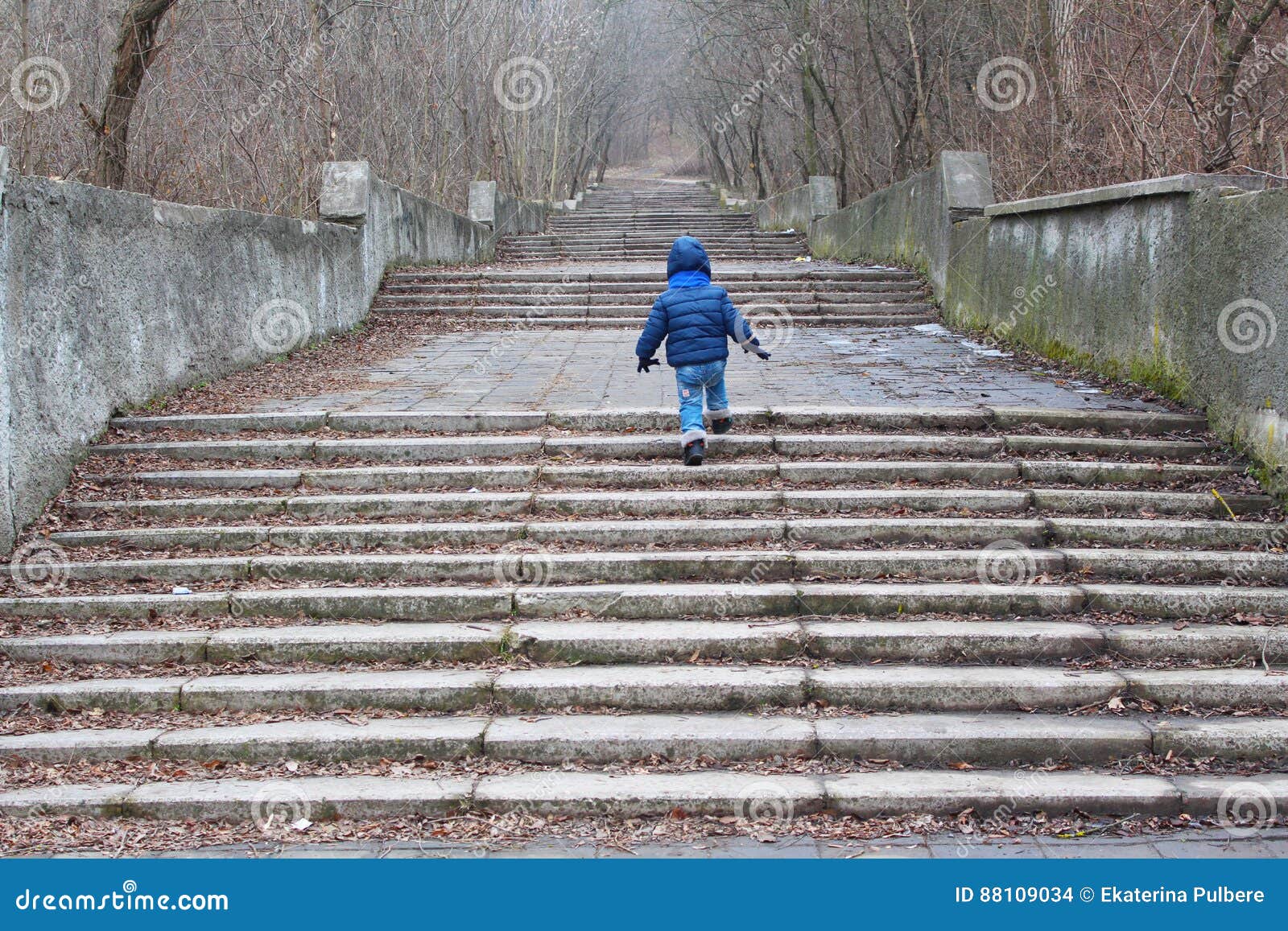 Step by step stock photo. Image of life, overgrown, growth - 88109034