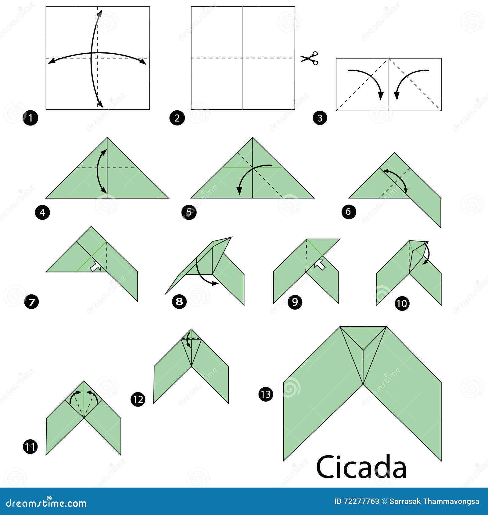 Step by Step Instructions How To Make Origami a Cicada. Stock Vector ...