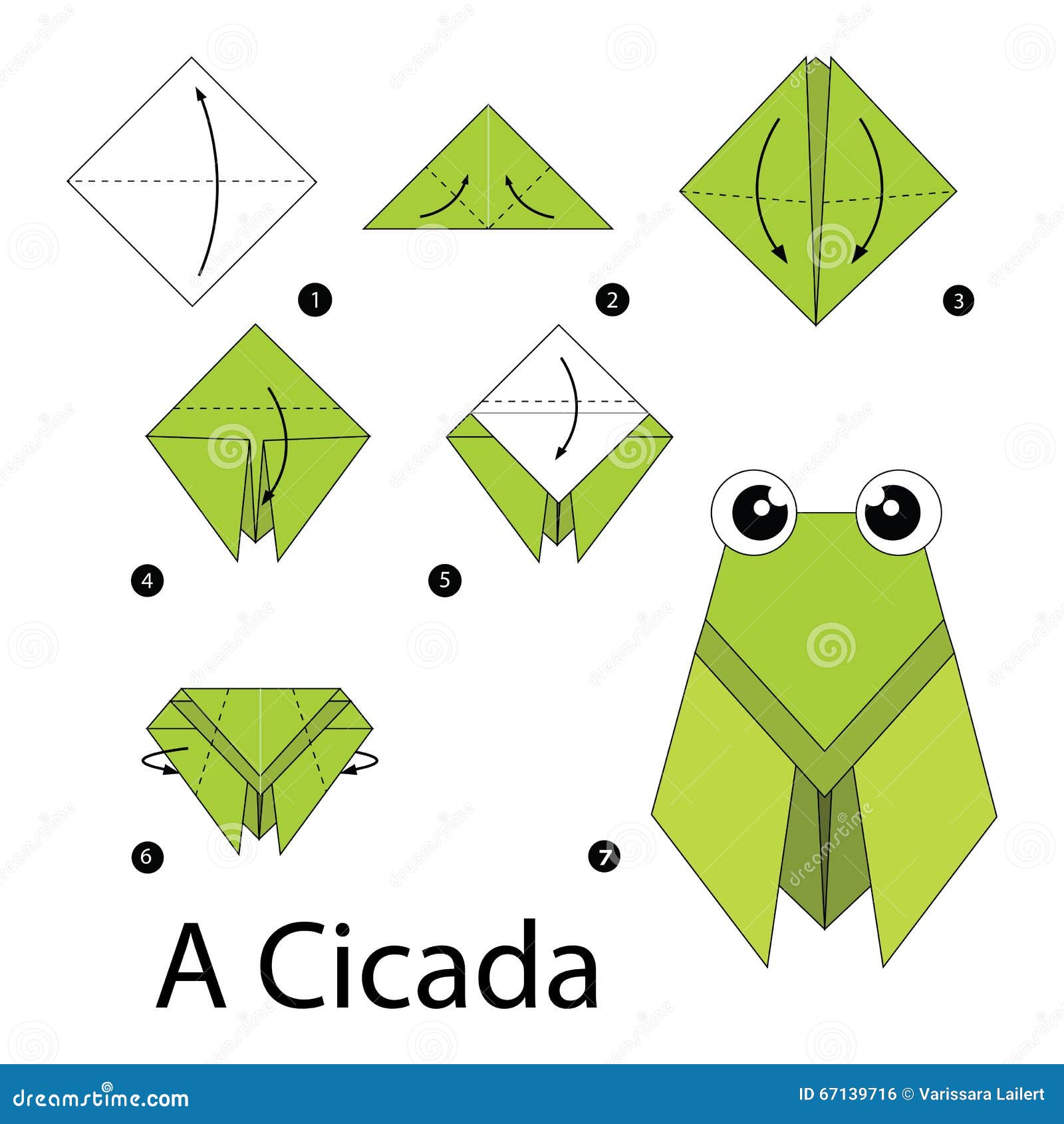 Step By Step Instructions How To Make Origami A Cicada. Vector ...