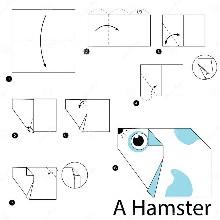 Step by Step Instructions How To Make Origami a Hamster. Stock Vector ...