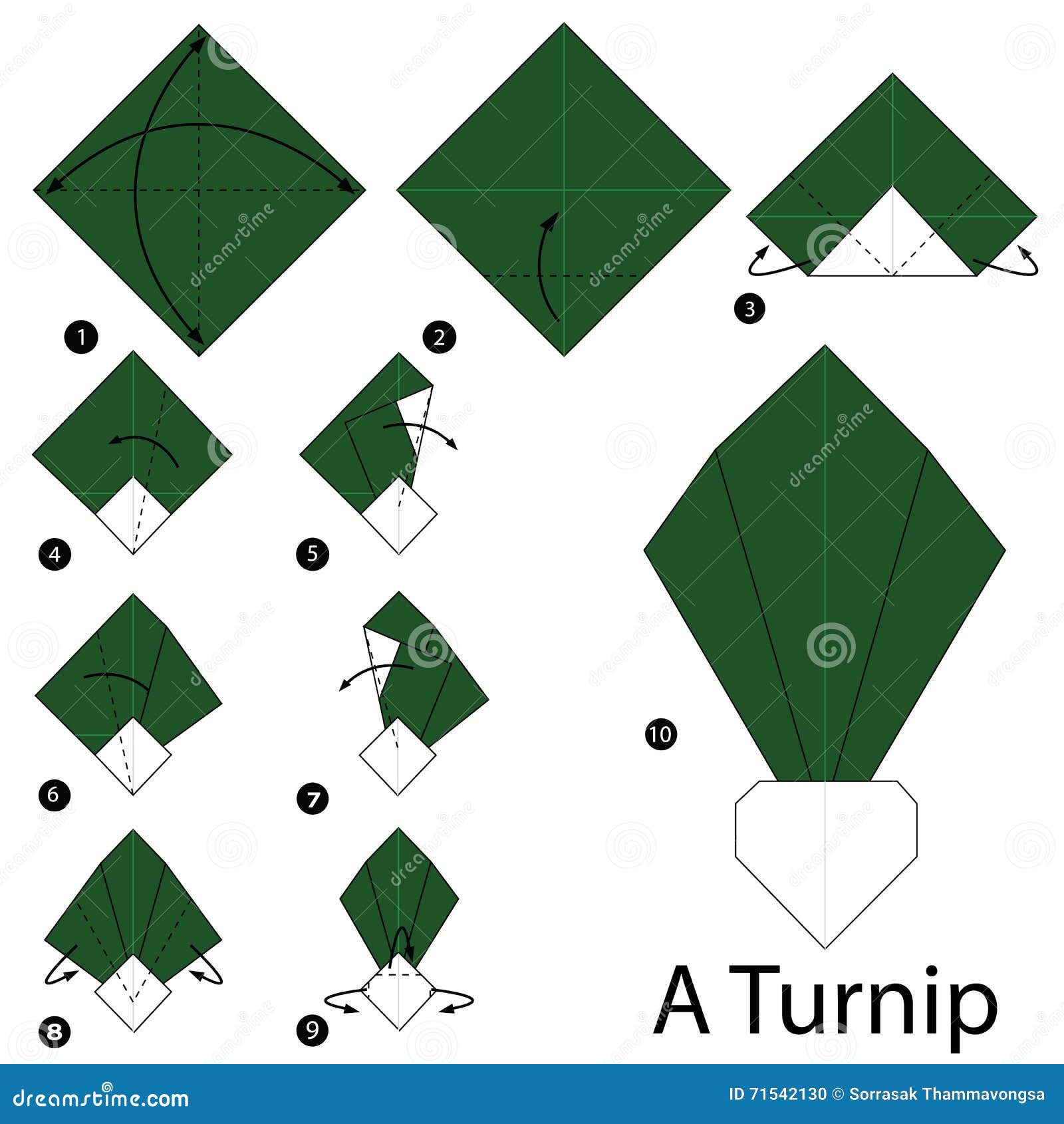 Step by Step Instructions How To Make Origami a Turnip. Stock Vector ...