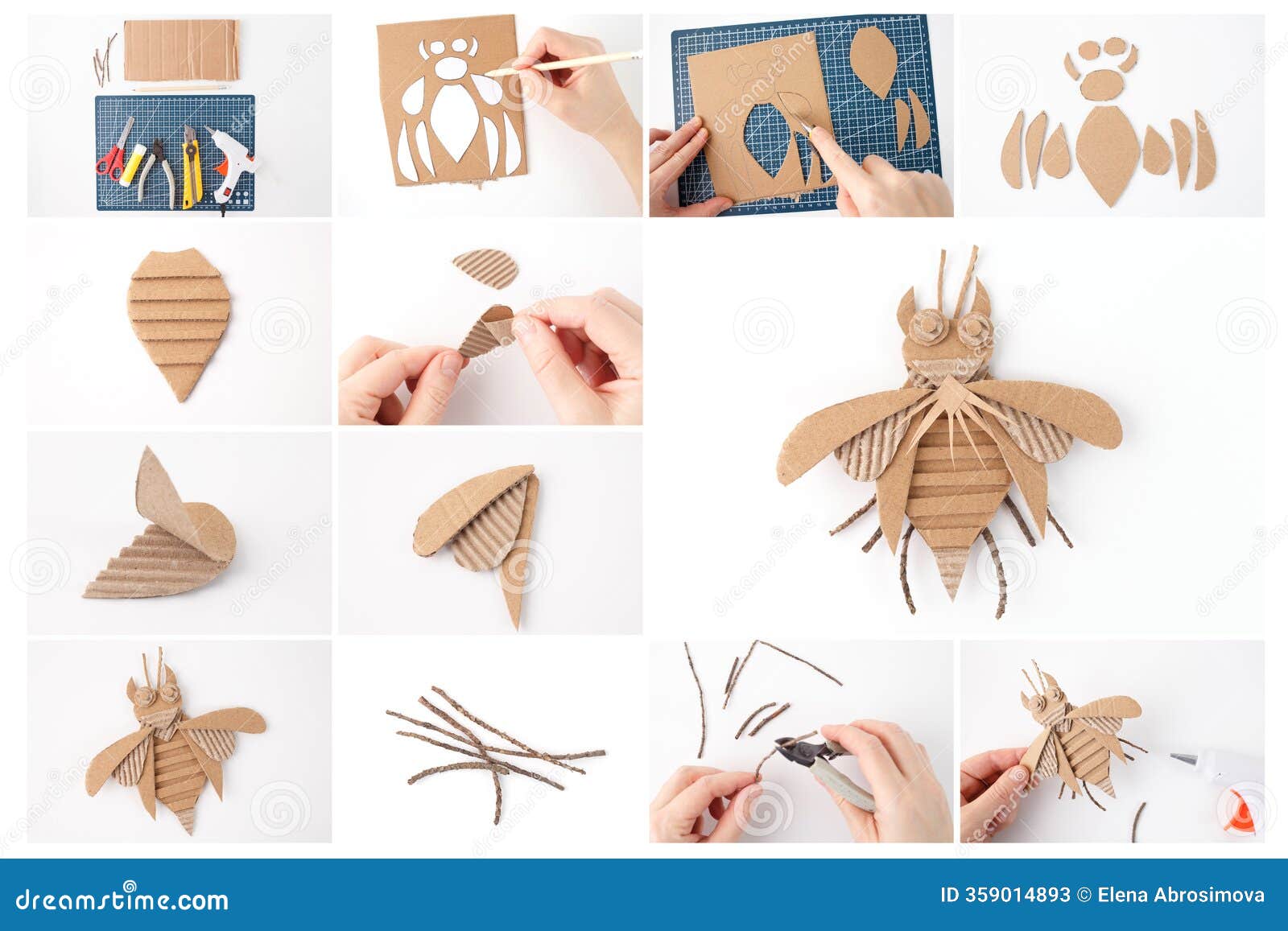 Step-by-step Process of Making a Cardboard Insect Craft. DIY Handmade ...