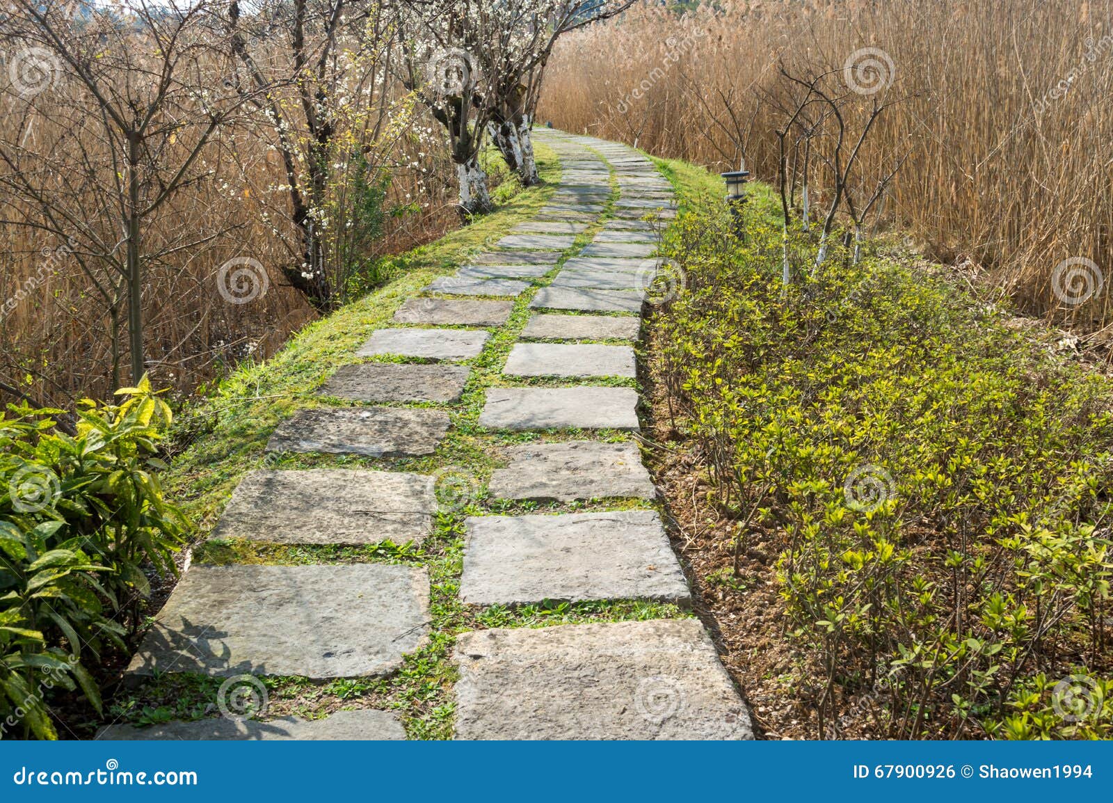 Step Stone Pathway Stock Image | CartoonDealer.com #33360991