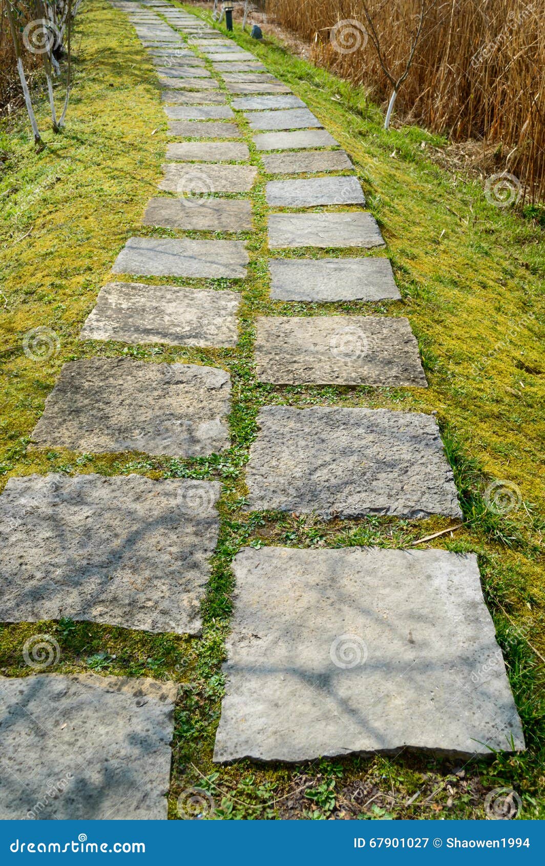 Step Stone Path 2 stock image. Image of development, destination - 67901027