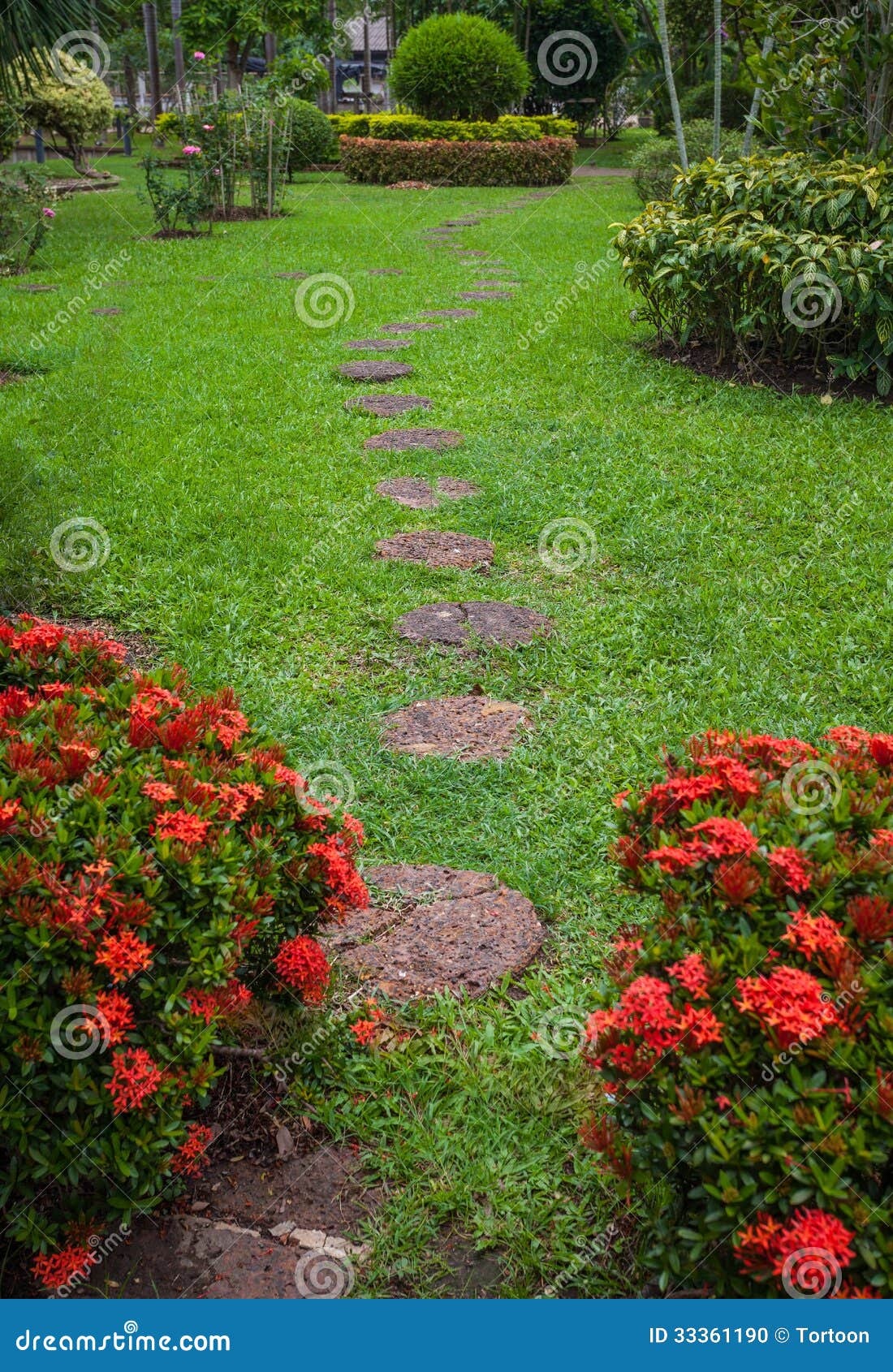 Step Stone Pathway Stock Image | CartoonDealer.com #33360991