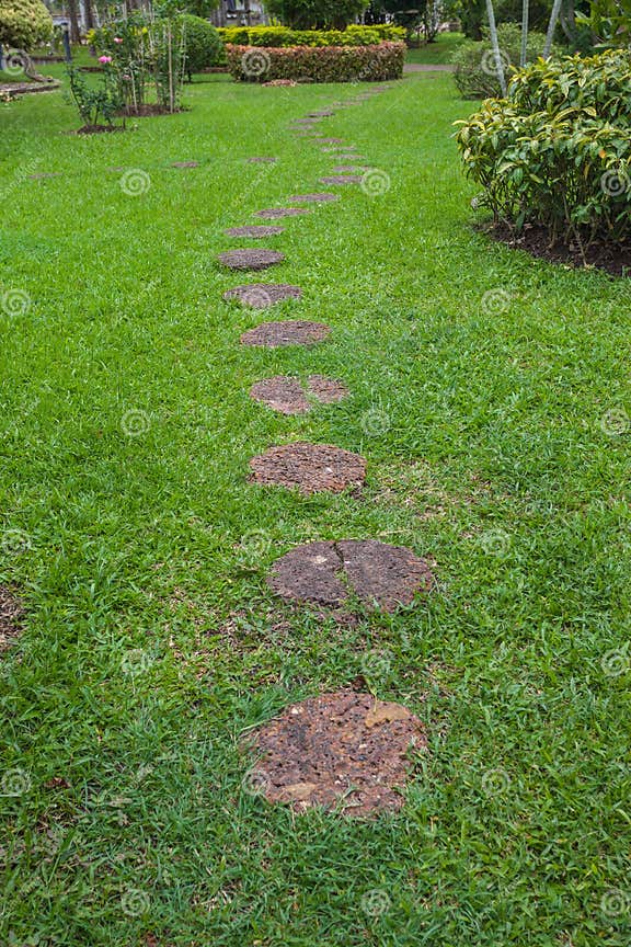 Step Stone Pathway stock image. Image of curve, park - 33360991
