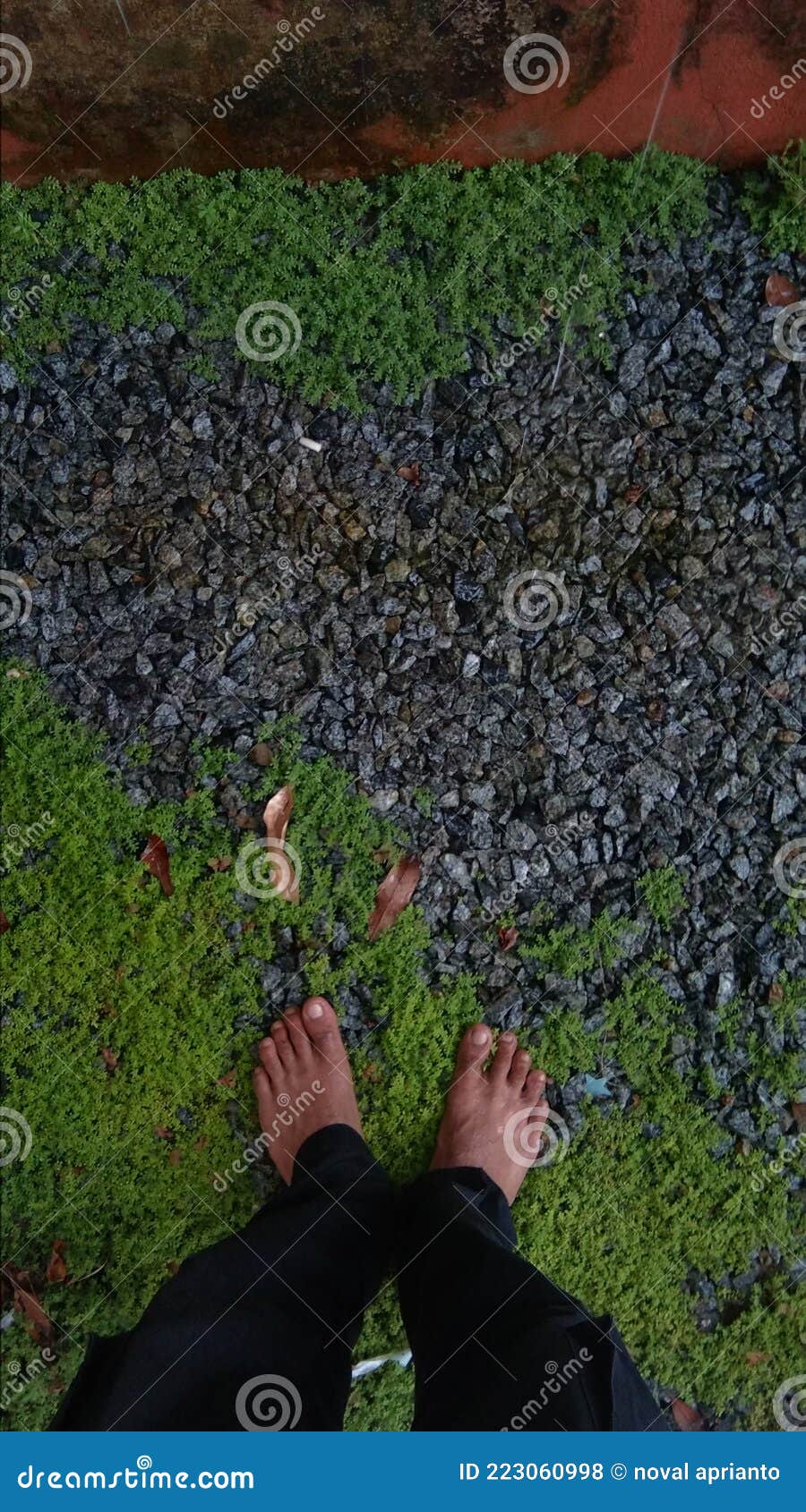 Step Strong, Slowly Move Forward Stock Photo - Image of slowly, forward ...