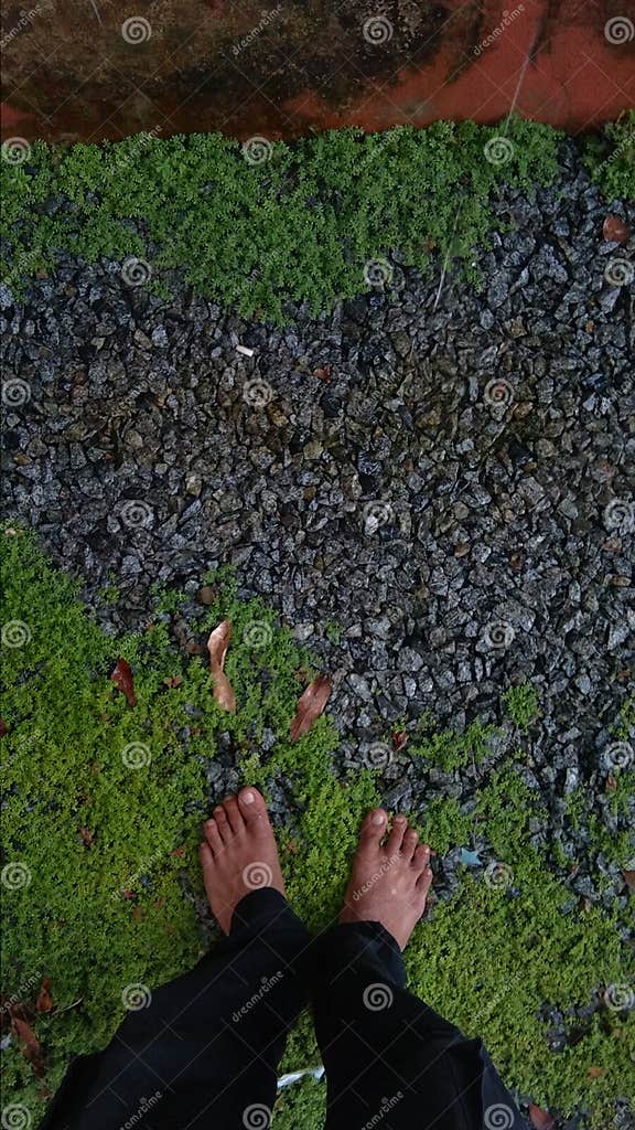 Step Strong, Slowly Move Forward Stock Photo - Image of slowly, forward ...