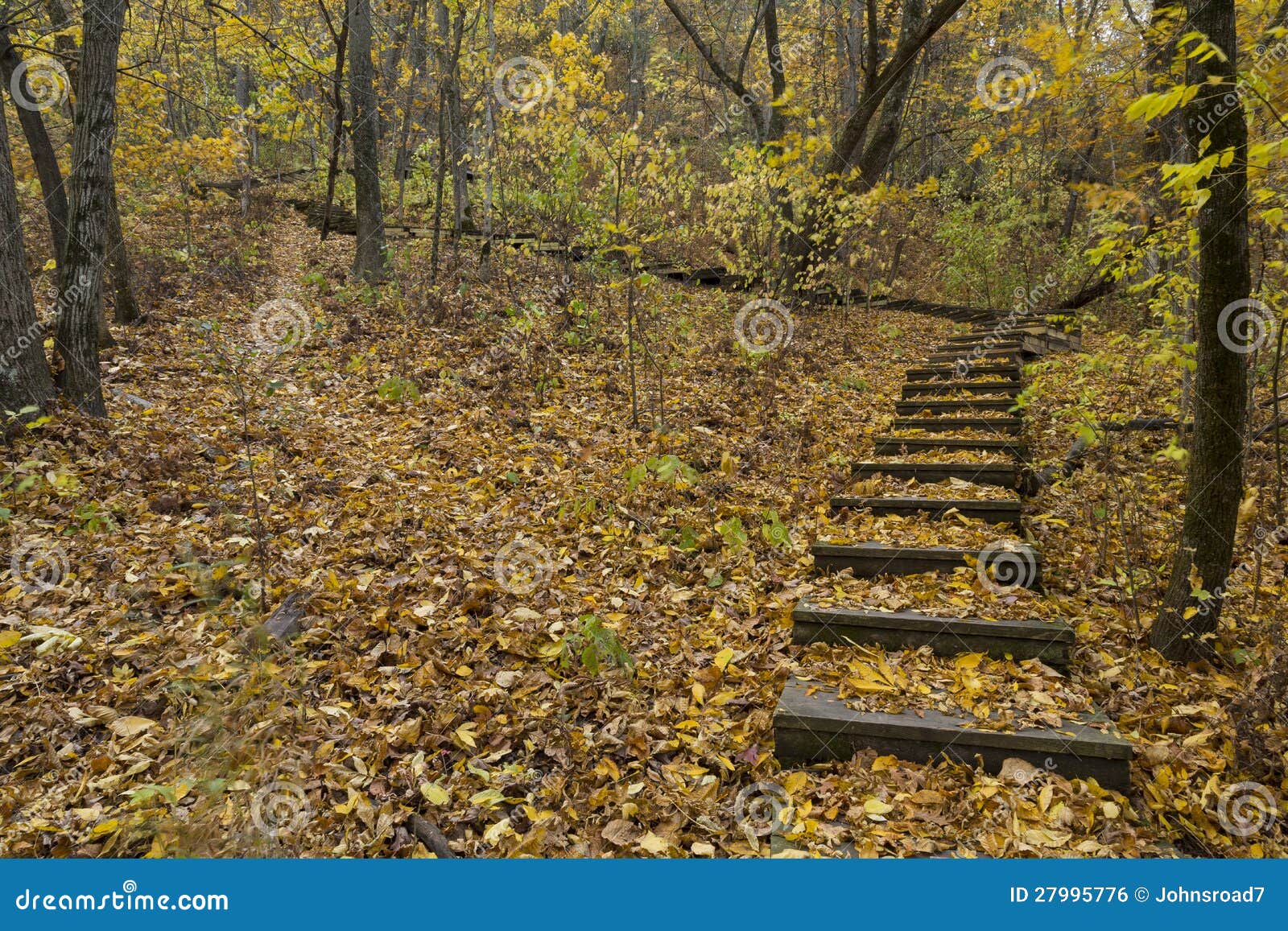 Step Trail Autumn stock photo. Image of nature, forest - 27995776
