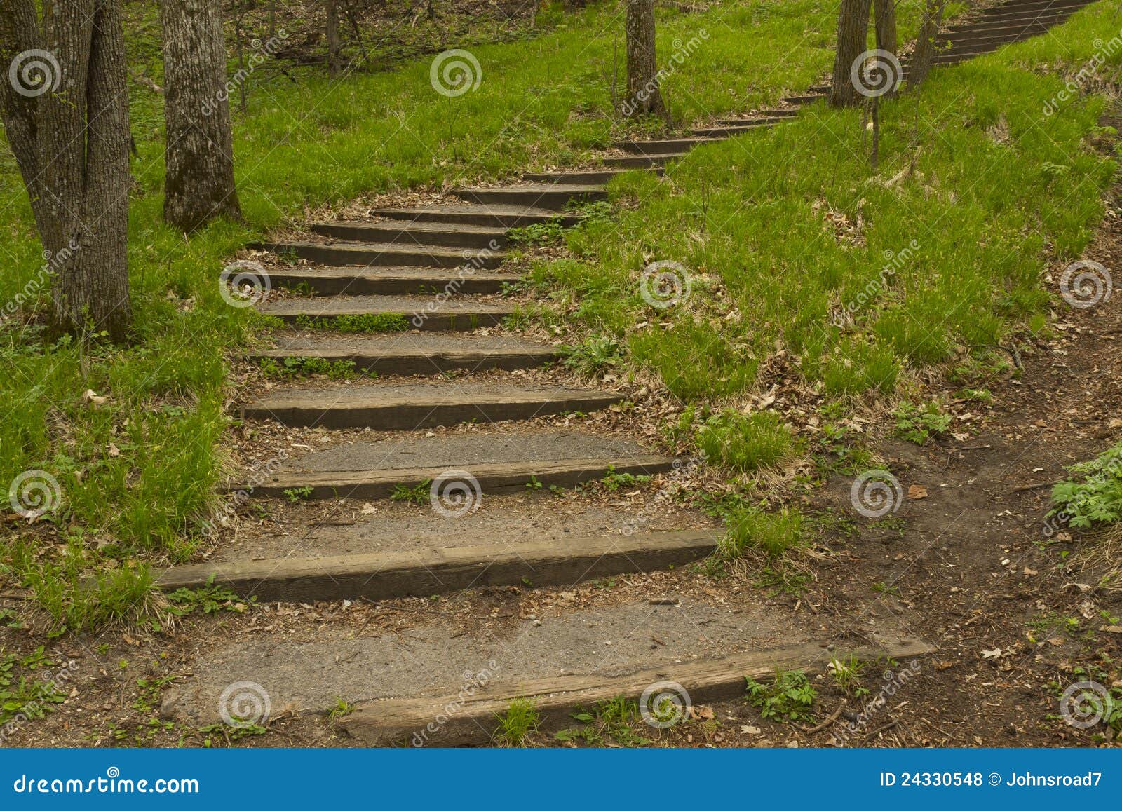 Step Trail in Woods stock photo. Image of spring, hiking - 24330548