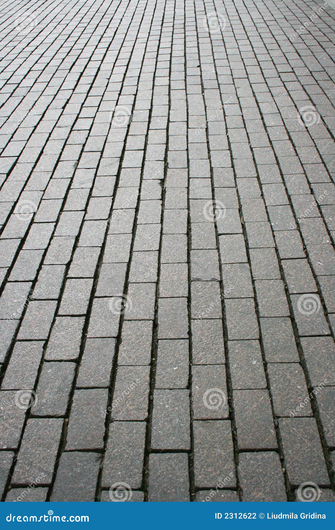 Step Up stock photo. Image of concrete, grain, stone, nature - 2312622