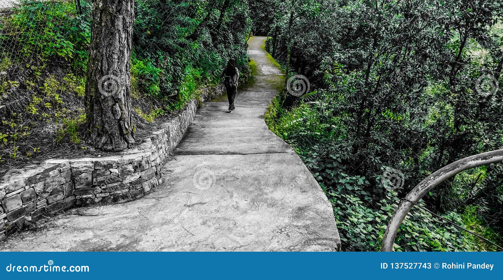 A pathway stock image. Image of step, greenery, pathway - 137527743