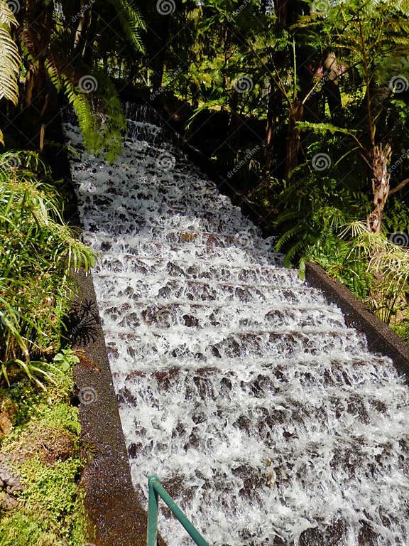 Step Waterfall stock photo. Image of steps, waterfall - 214944404