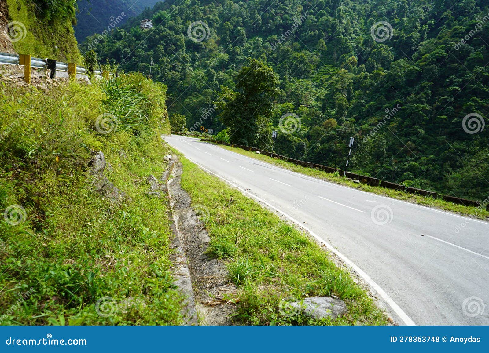 Step Wise road in Sikkim stock photo. Image of rainforest - 278363748
