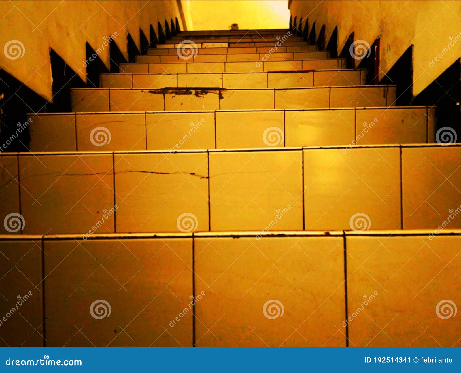 Step your feet stock image. Image of colour, beauty - 192514341