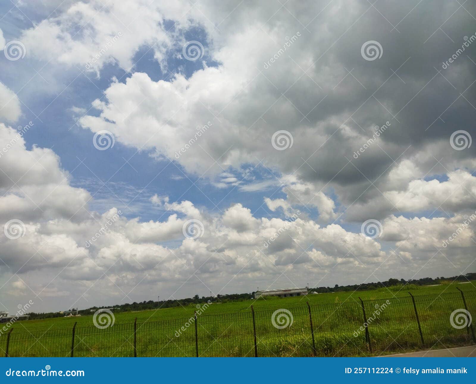 In Stepa Tree Sky and Cloudy Stock Photo - Image of steppe, cloud ...