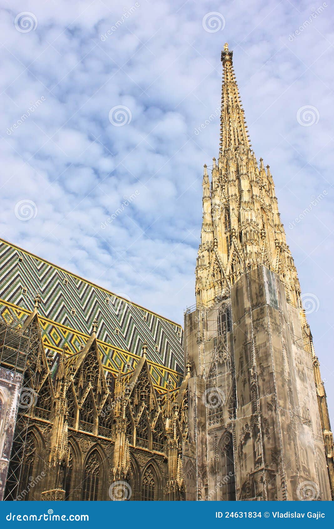 Stephansdom in Vienna stock photo. Image of decor, landmark - 24631834