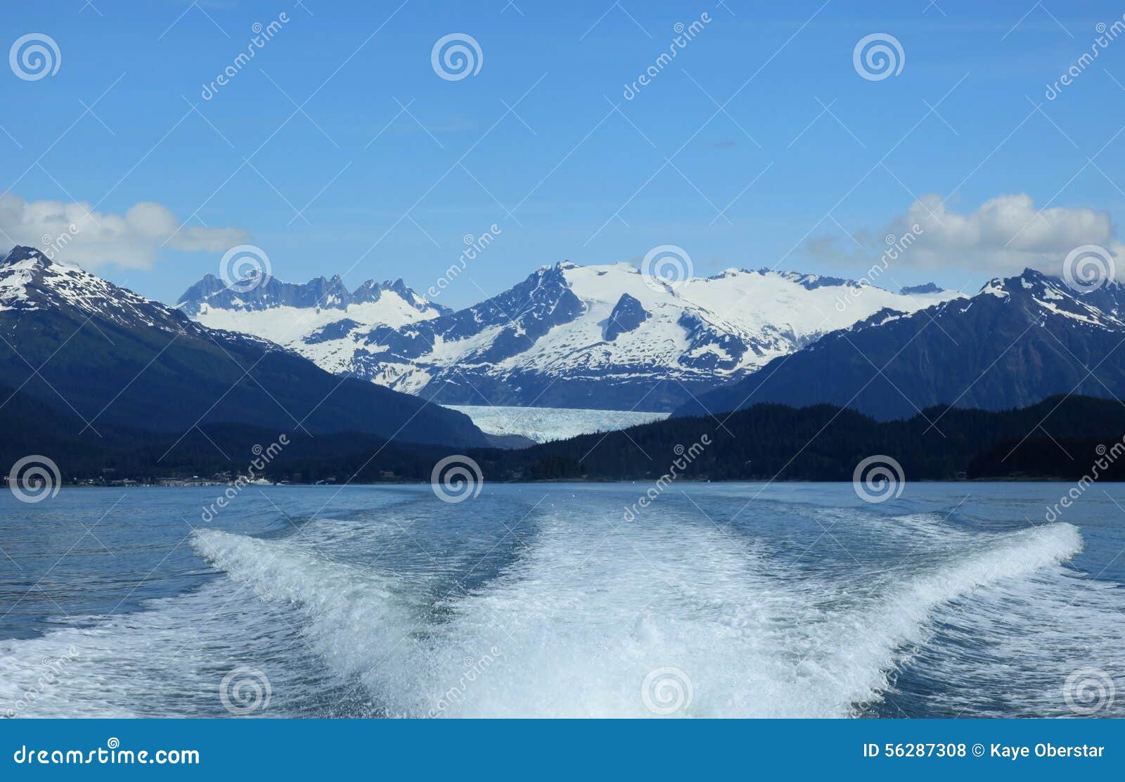 Stephens Passage Whale Watching Stock Photo - Image of coast, mountain ...