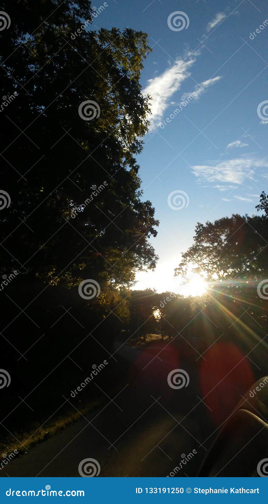 Stephi& x27;Eyez stock photo. Image of stephieyez - 133191250