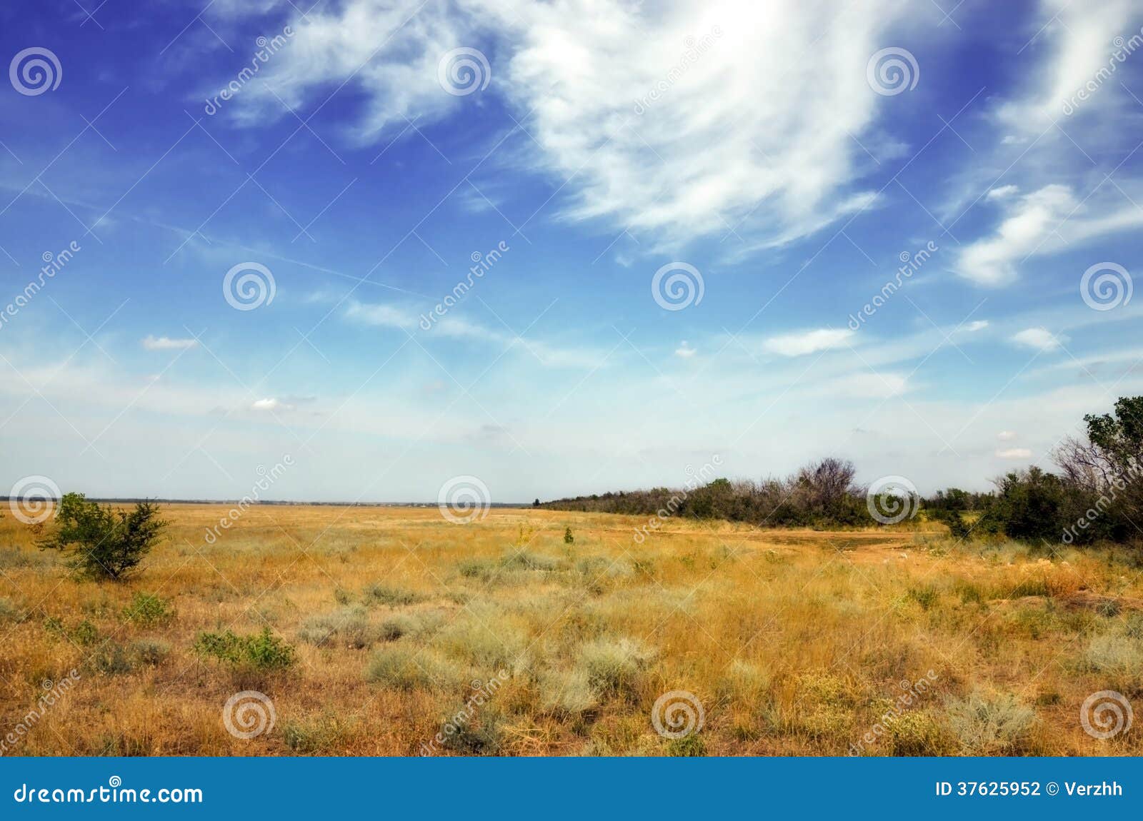 Steppa fotografia stock. Immagine di solitudine, nube - 37625952
