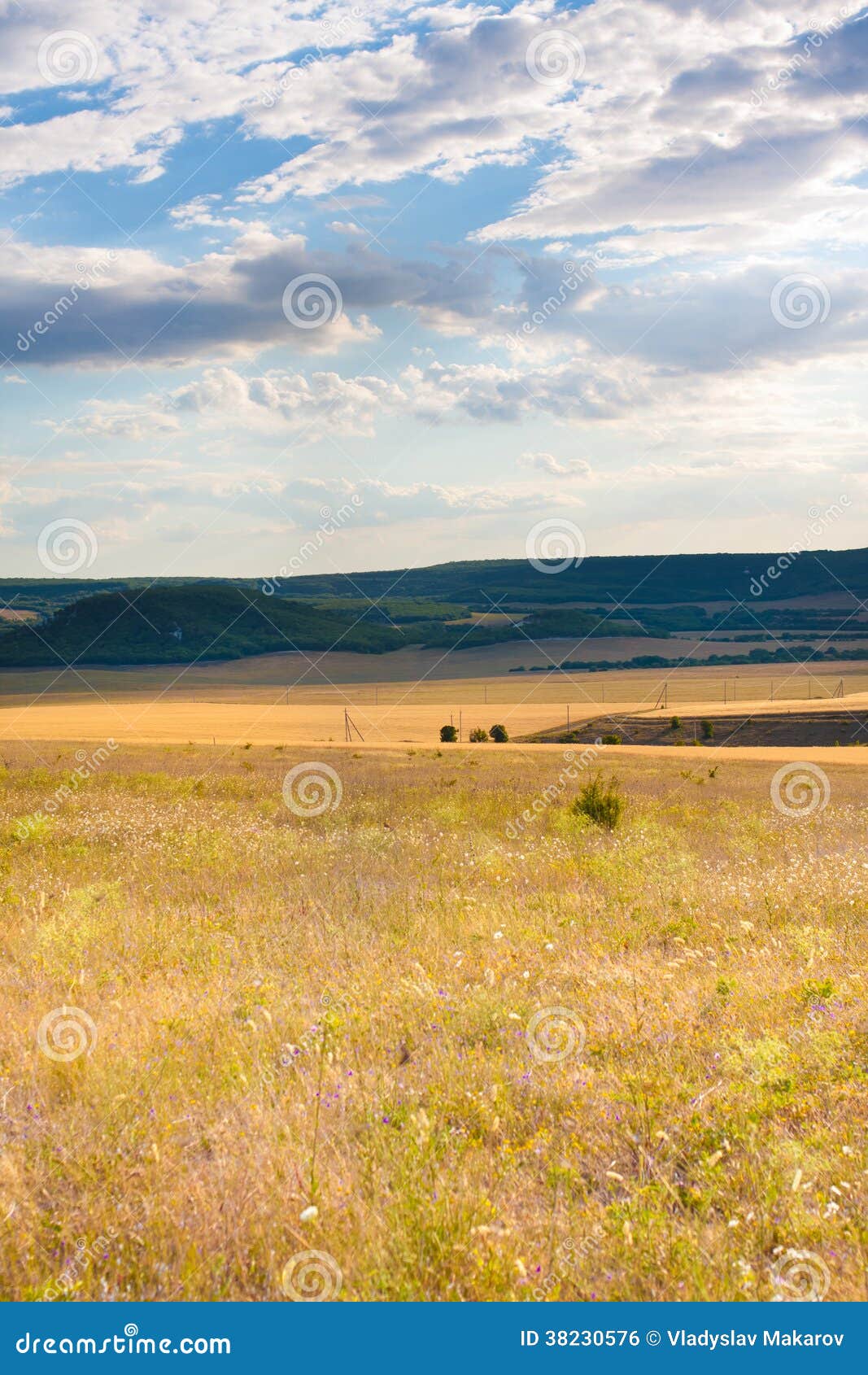 Steppa fotografia stock. Immagine di campo, molla, terra - 38230576
