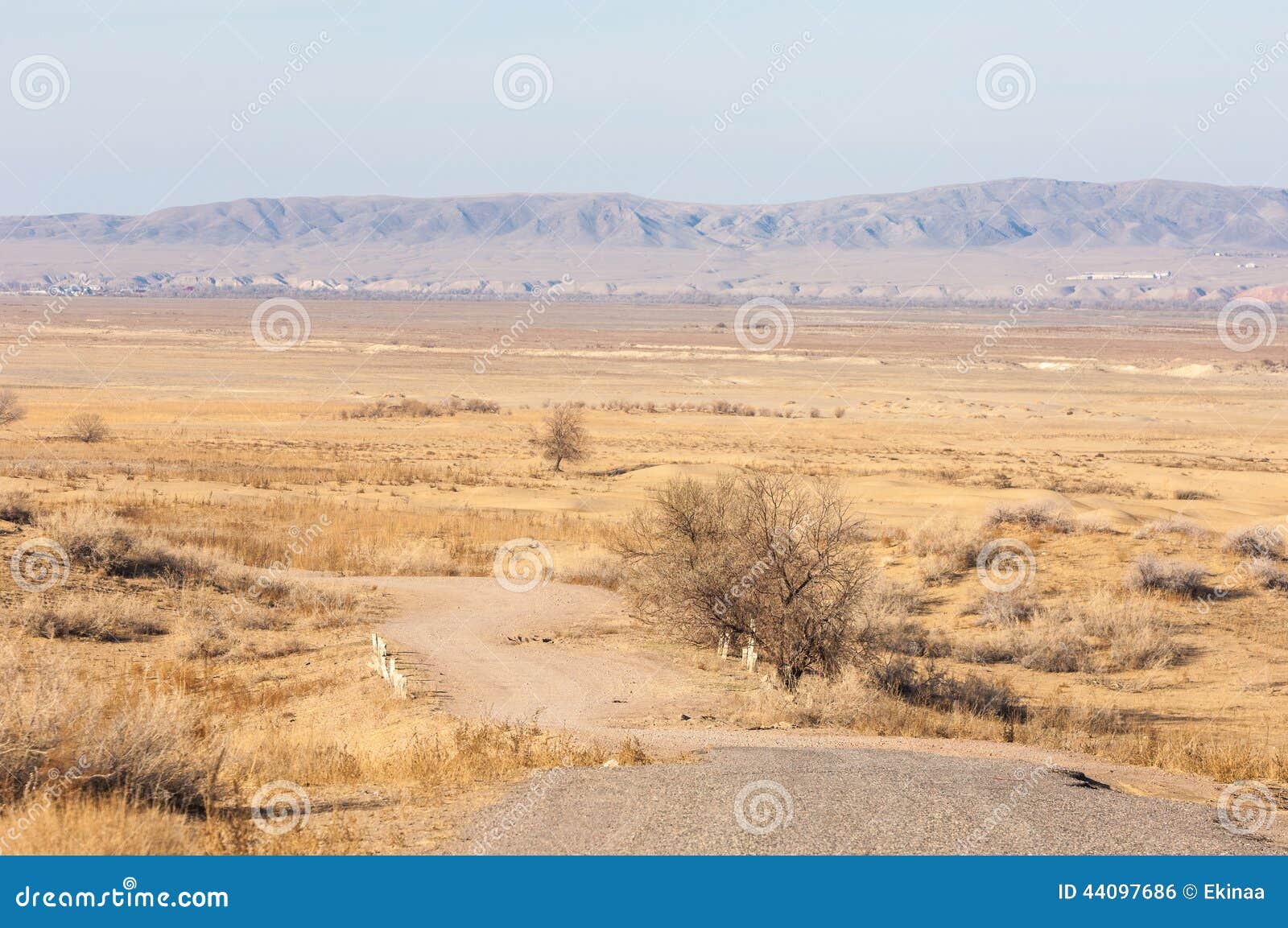 Steppa fotografia stock. Immagine di asciutto, molla - 44097686