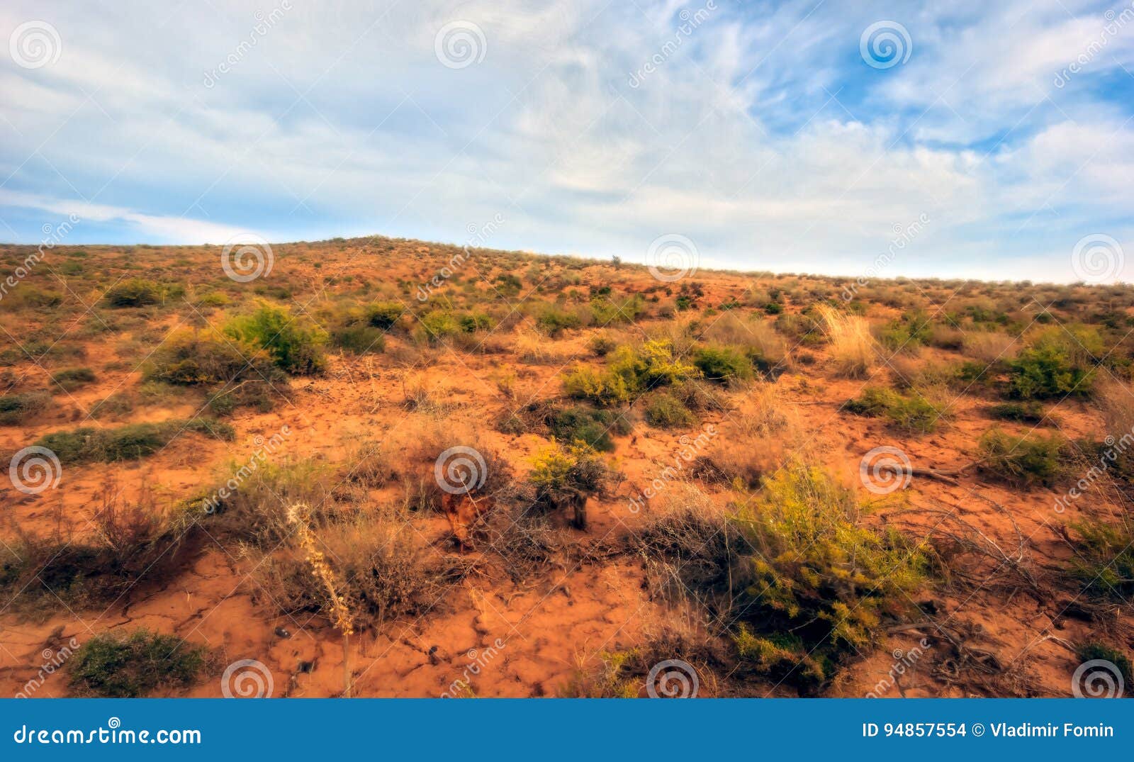 Steppa fotografia stock. Immagine di steppa, estate, sfondo - 94857554