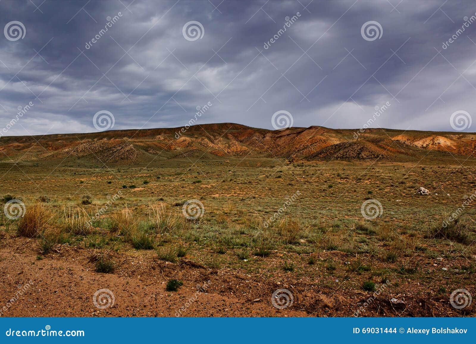 Steppa kazaka in primavera fotografia stock. Immagine di flora - 69031444