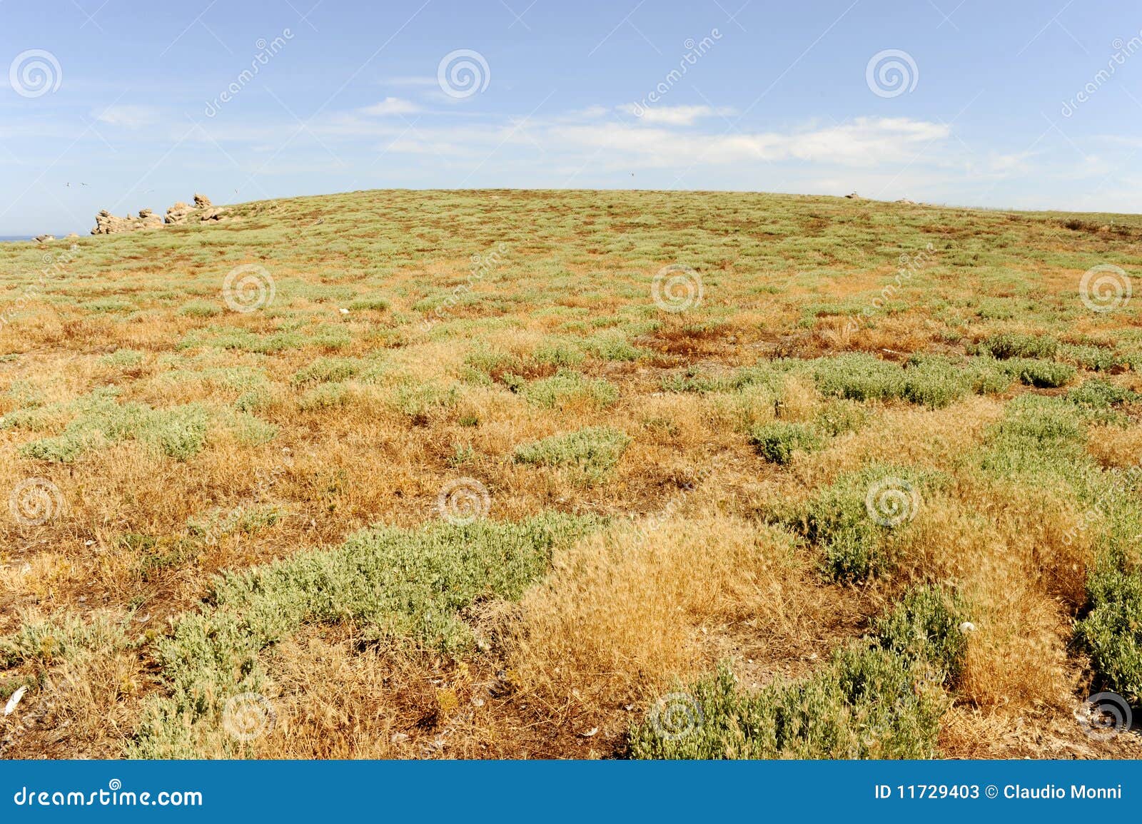 Steppe stock image. Image of coast, deserted, tourism - 11729403