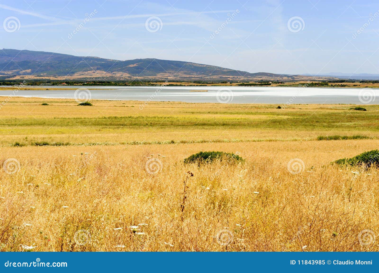 Steppe stock image. Image of cruise, paradise, steppe - 11843985
