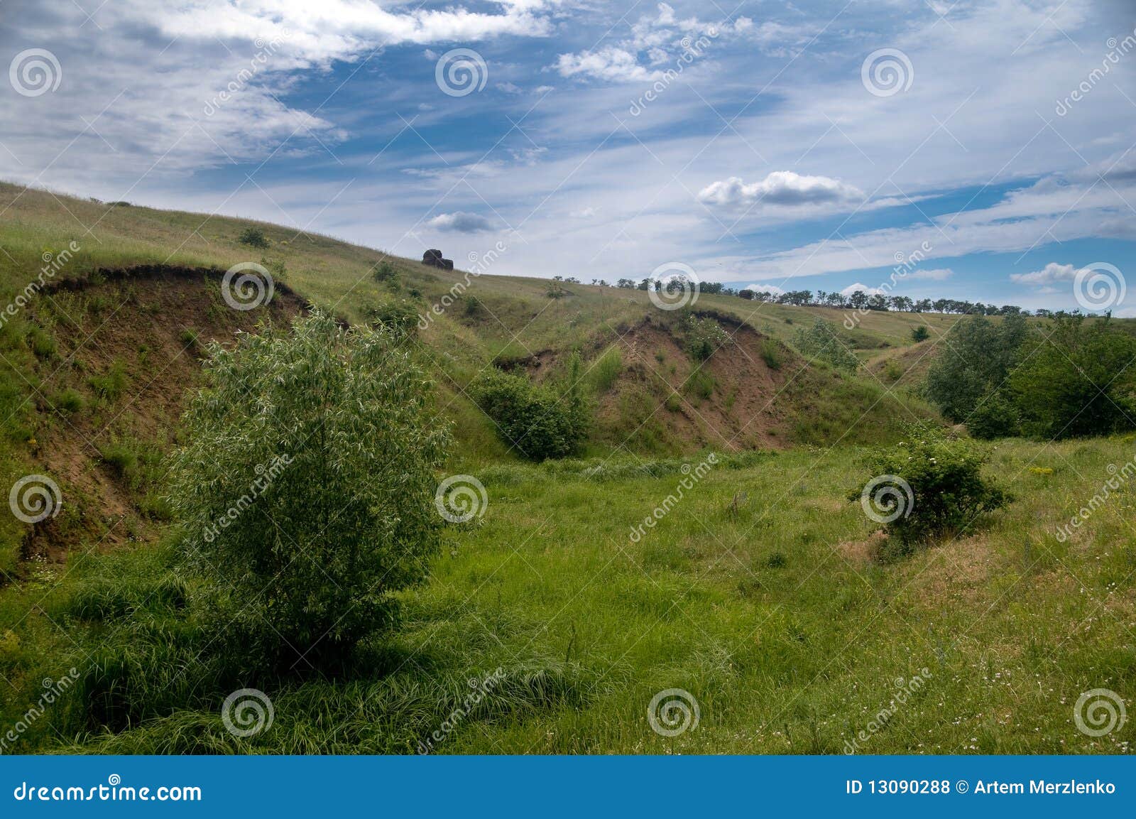 Steppe stock photo. Image of grass, leaves, green, bright - 13090288
