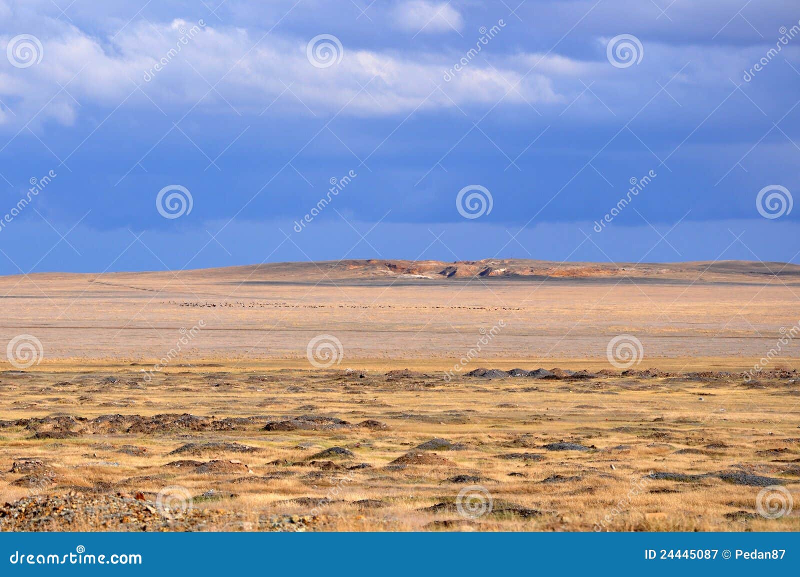 Steppe image stock. Image du ciel, horizontal, panorama - 24445087