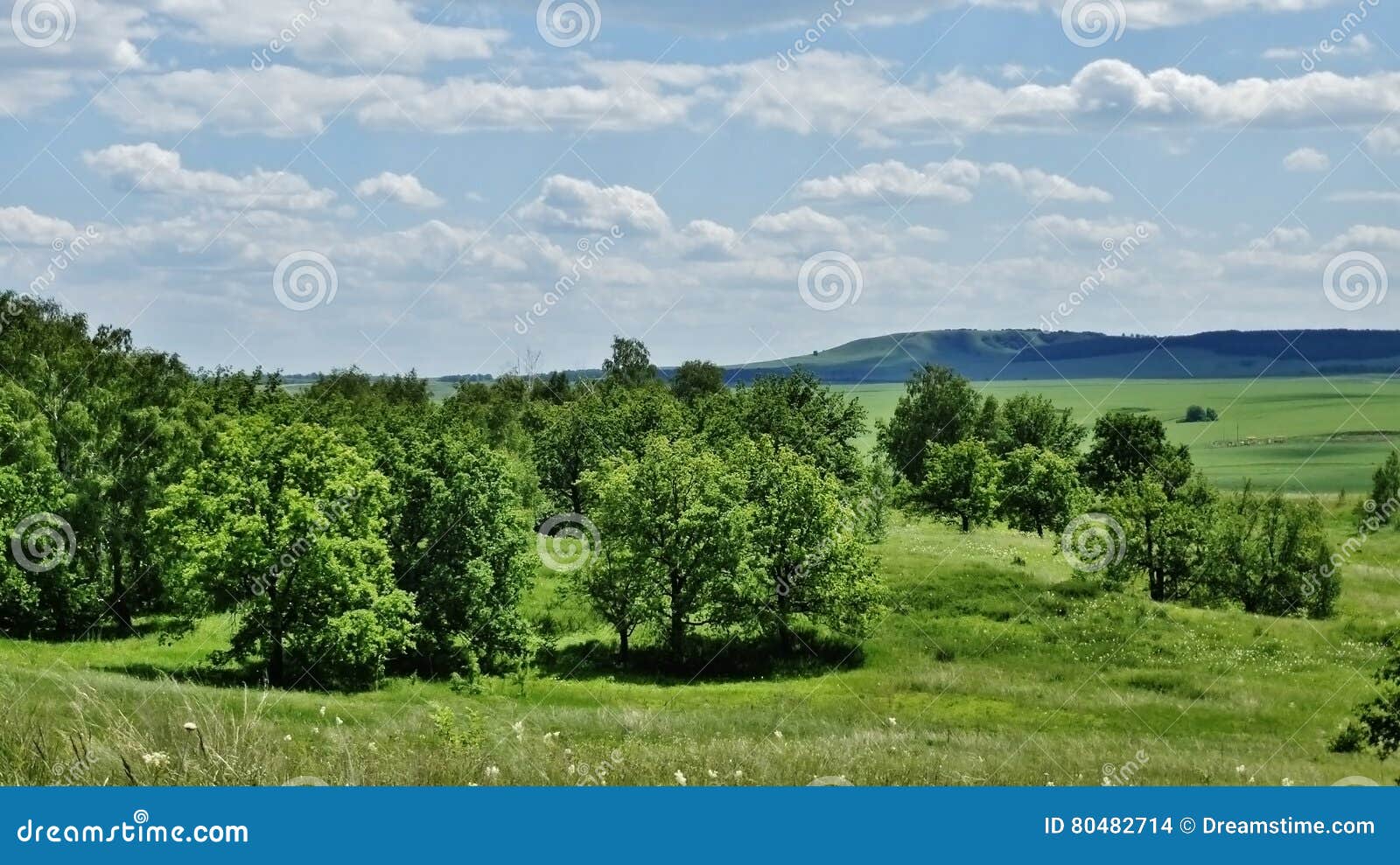 Steppe photo stock. Image du maison, nuages, fleuraison - 80482714