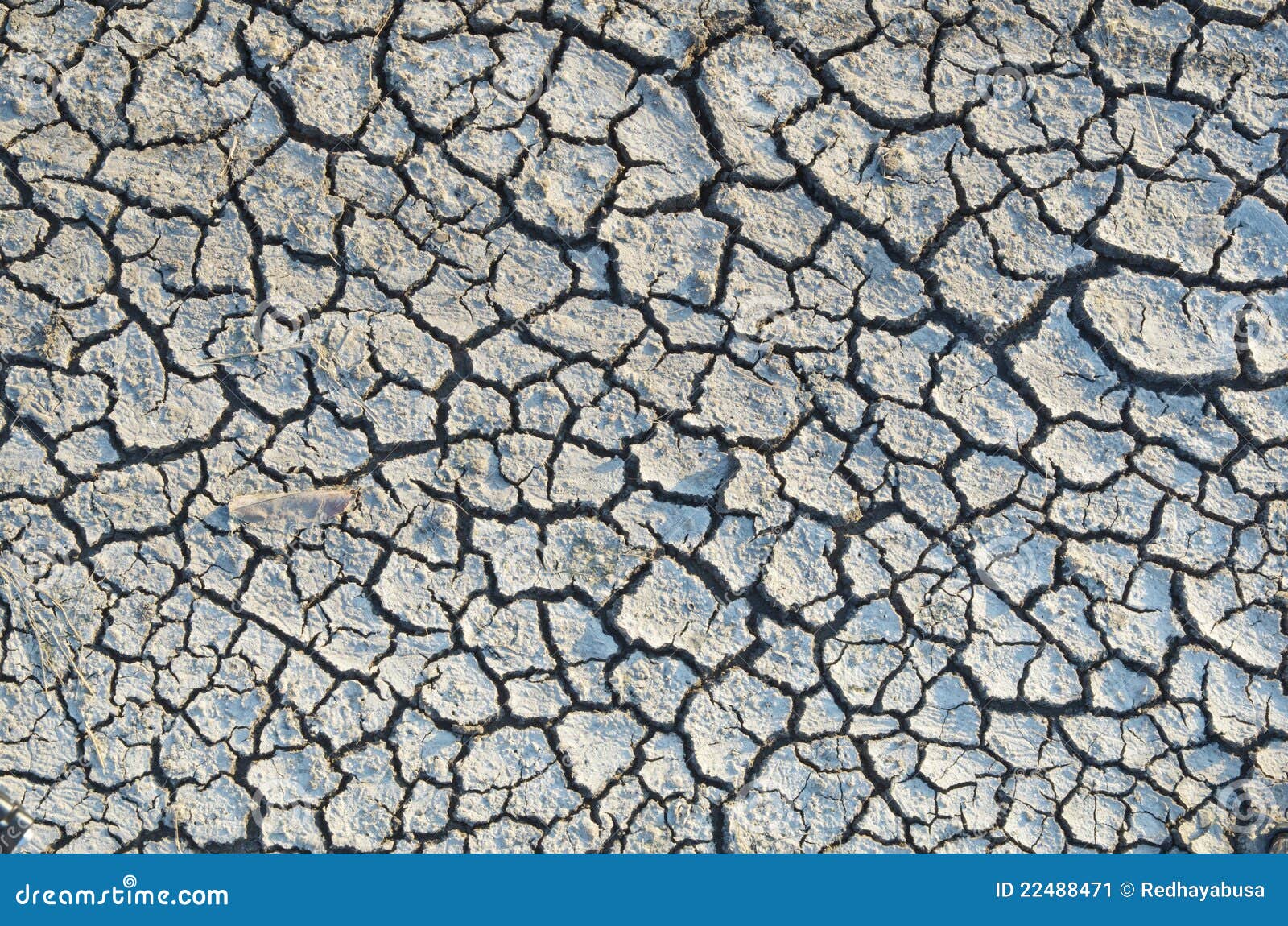 Steppe Cracked Clay Earth in the Summer Stock Image - Image of grey ...
