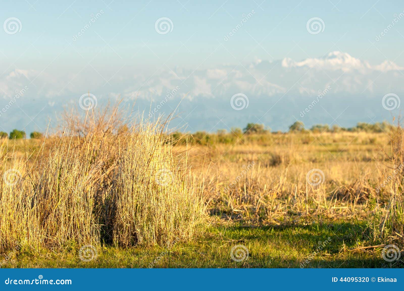 Steppe stock photo. Image of heat, africa, outdoor, environment - 44095320