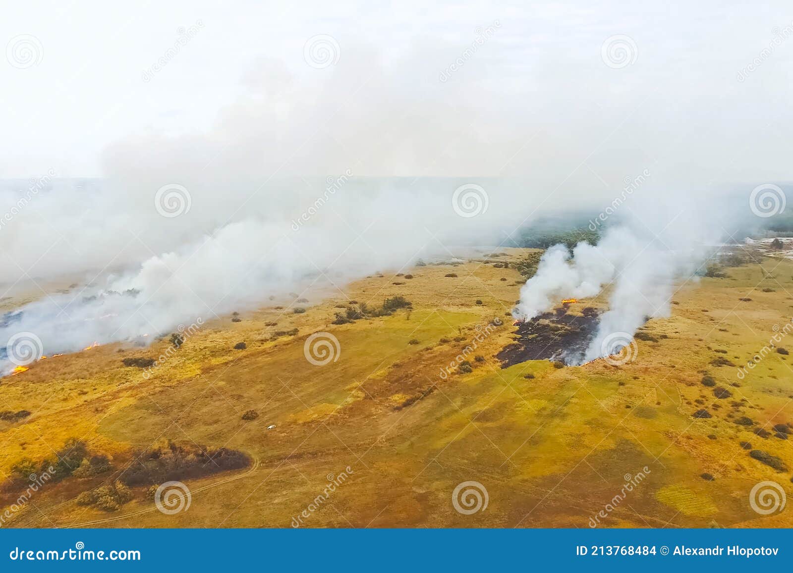 Steppe Fire. Burning Dry Grass, Fire Smoke Stock Photo - Image of grass ...