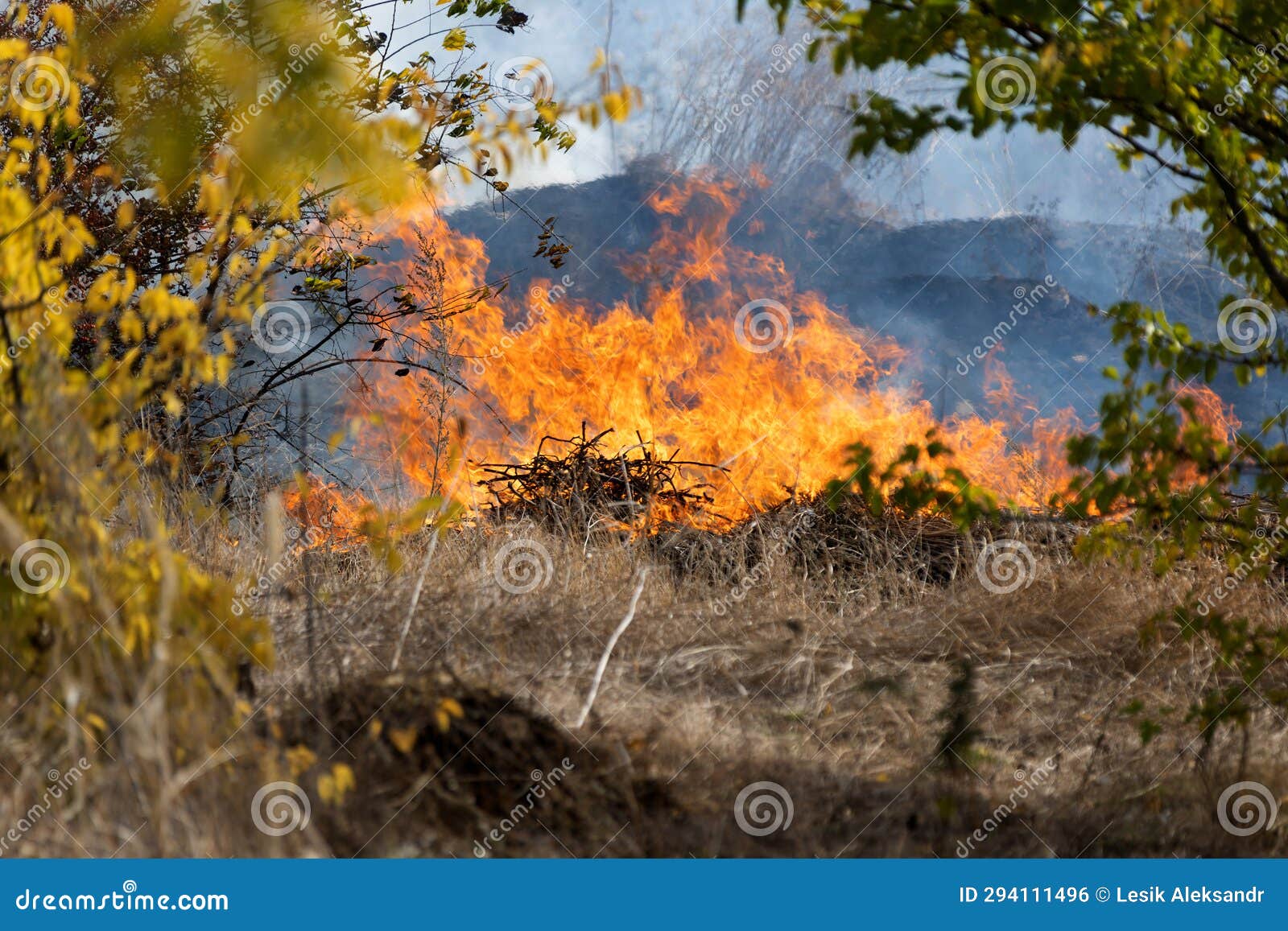 Steppe Fires during Severe Drought Completely Destroy Fields. Disaster ...