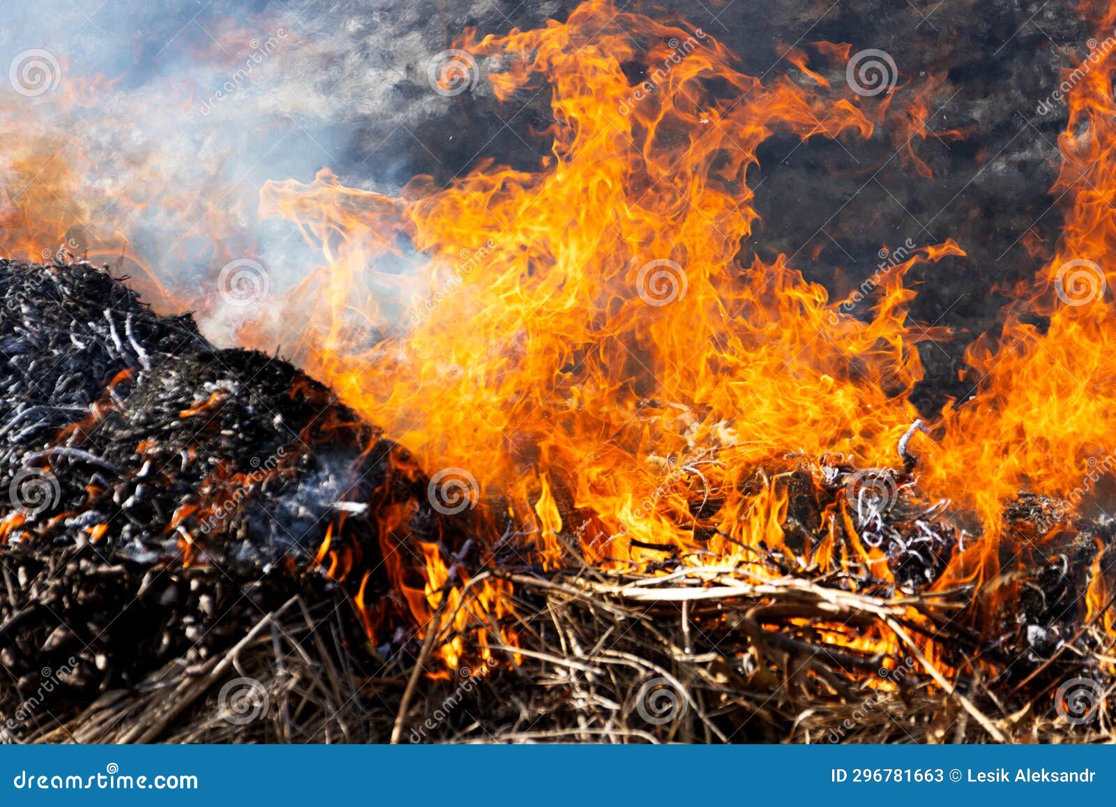 Steppe Fires during Severe Drought Completely Destroy Fields. Disaster ...