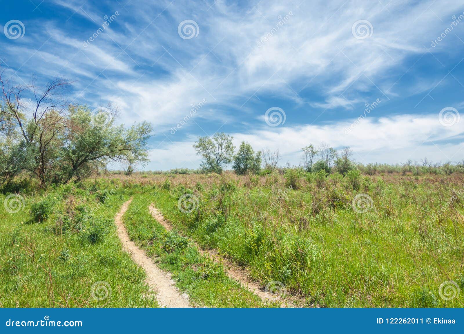 Steppe, Grasland, Steppe, Grasland Stockbild - Bild von wüste, draussen ...