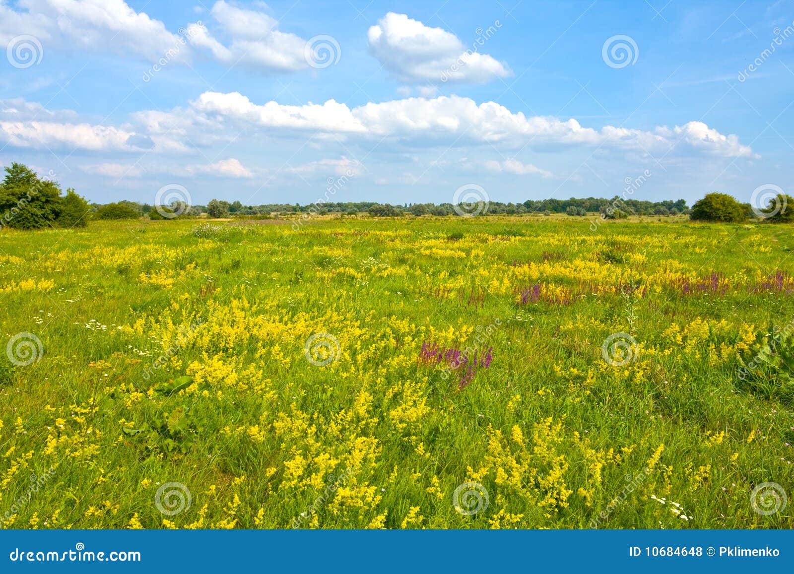 Steppe landscape stock photo. Image of freedom, clouds - 10684648